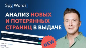 Анализ новых и потерянных страниц в выдаче
