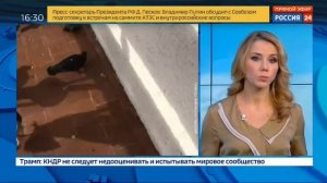 Екатерина Григорова 8.11.2017 16-25
