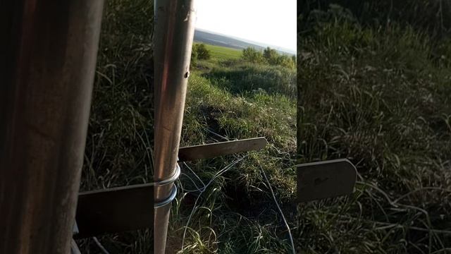 RCC VHF 2 этап 2025