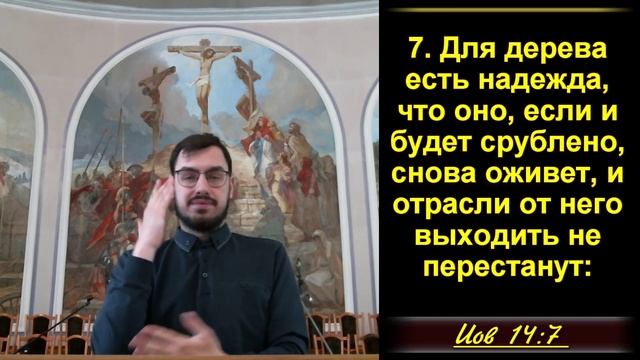14 часть. Унылая молитва Иова. Иов.14:1-22.