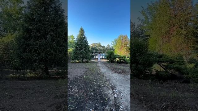 35 см бетона 🤯зачем?! Переделка участка #красивыйдом #л