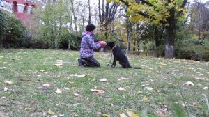 Качалка (пружина)