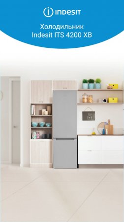 Холодильник #Indesit ITS 4200 XB - обзор