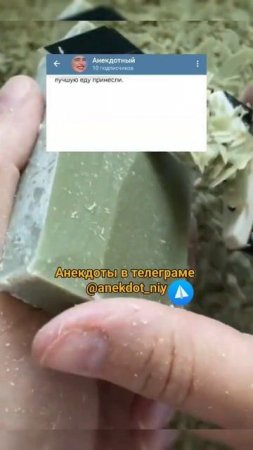 Анекдот про статью 🤣 #приколы #шутка #мемы #анекдоты #смех #юмор