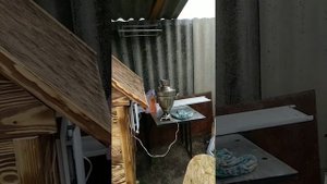 деревянная коптильня.