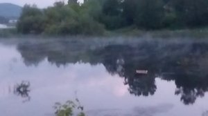 туман над прудом, куса, Челябинская обл