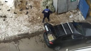 Надоедливые подкидыши мусора, постоянно все скидывают у нашего дома.