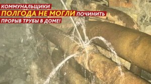 Коммунальщики полгода не могли починить прорыв трубы в доме!