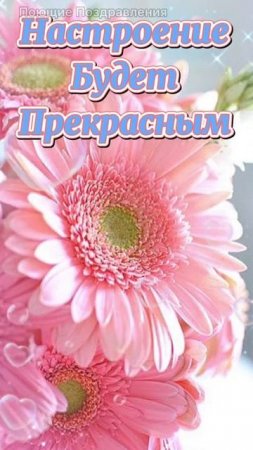 Хорошего настроения, отличного дня! #shorts