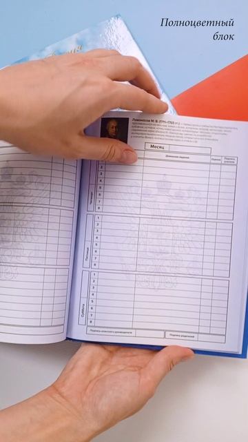 Дневник российского школьника 71010, 71011