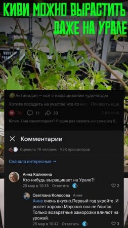 Киви на Урале? Легко. #Гарденмарт_ассортимент