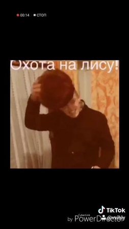 Охота, лиса, прикол, вайн