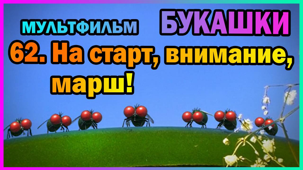 | Мультфильм | БУКАШКИ | 62. На старт, внимание, марш! |