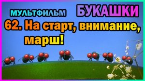 | Мультфильм | БУКАШКИ | 62. На старт, внимание, марш! |