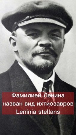 Интересные исторические факты. Владимир Ильич Ленин (?
