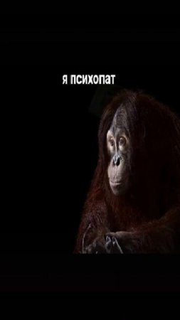 Картинки с глубоким смыслом #мем #мемы #рофл #смешно #юмор #shorts