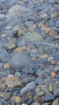 Черное море ласкает галечный берег в районе хутора Дюрсо