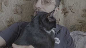 Обнимашки с котом Феликсом
