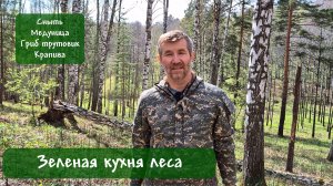 Для чего мы можем использовать сныть, медуницу, трутовик, крапиву? Зеленая кухня леса