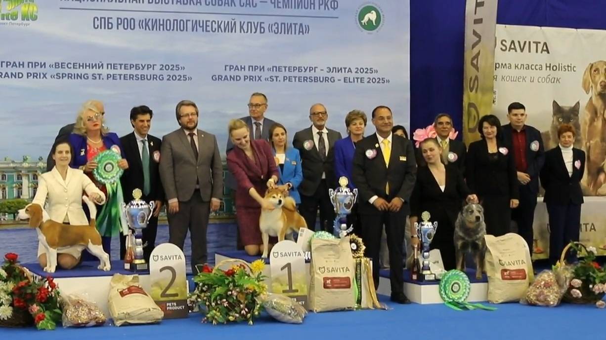 26.04.2025, СПб. Клуб "Элита" (РКФ, ОАНКОО). Рейтинговая выставка "ГРАН ПРИ ВЕСЕННИЙ ПЕТЕРБУРГ"