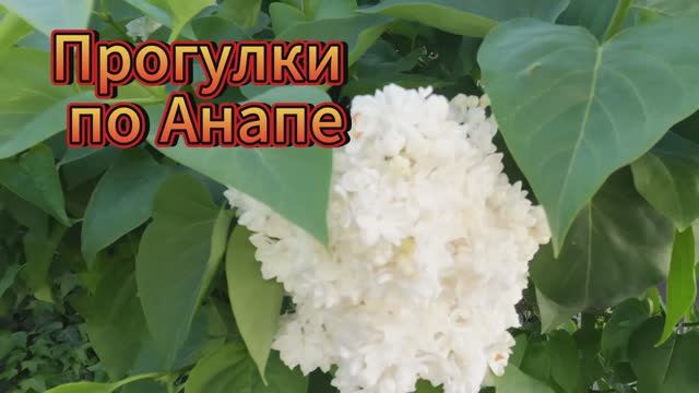 Прогулки по Анапе 1-4 мая