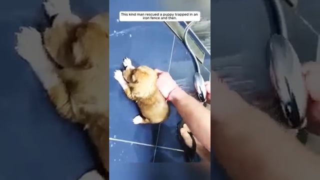 Мир не без добрых людей ! 3