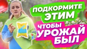 УСПЕЙТЕ ПОДКОРМИТЬ ВАШИ КУСТАРНИКИ И ДЕРЕВЬЯ ЭТИМ