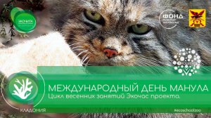 МЕЖДУНАРОДНЫЙ ДЕНЬ МАНУЛА