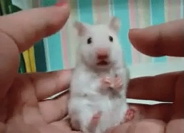 VID