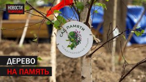 В Балашихе прошла акция «Сад Памяти»