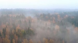 Богач смеялся над сиделкой отца, получившей по завеща?