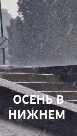Нижний Новгород Гребной канал на Волге #shortvideo #shorts #ниж