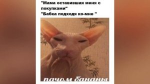 Лютые приколы, мемы  Мама Продала Аккаунт БРАВЛ СТАРС