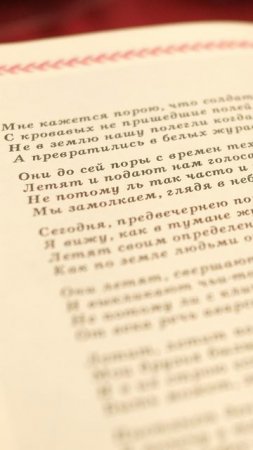 День Победы 🕊