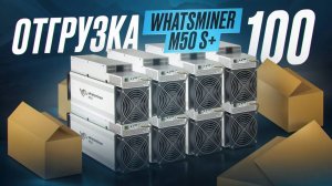 Клиент купил 100 штук Whatsminer 50S+