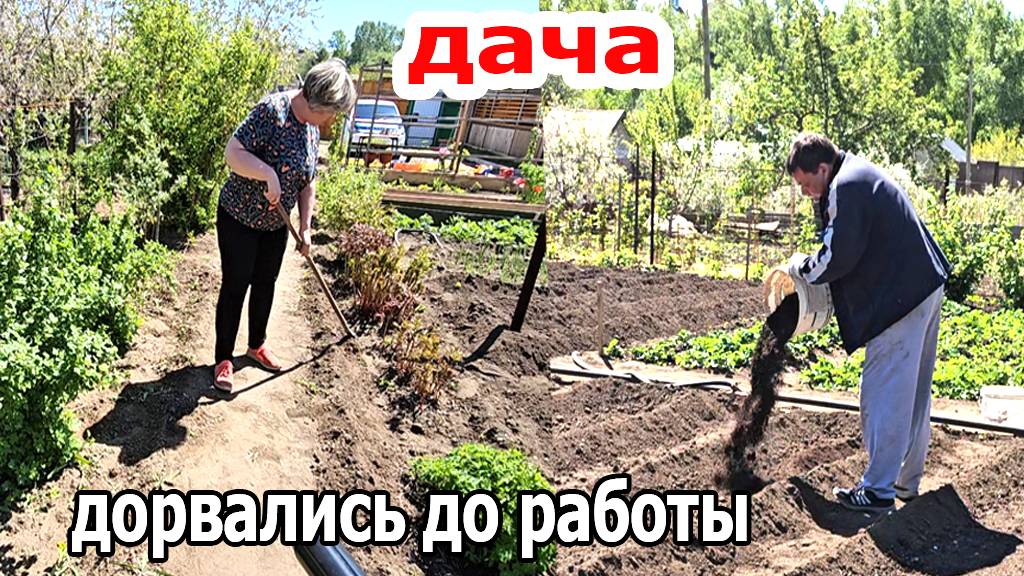 Дача.Доделали грядки.Ждем тепла.Покажу все свои посадки.Май 2025