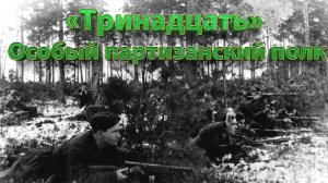 Тринадцать. Особый партизанский полк.