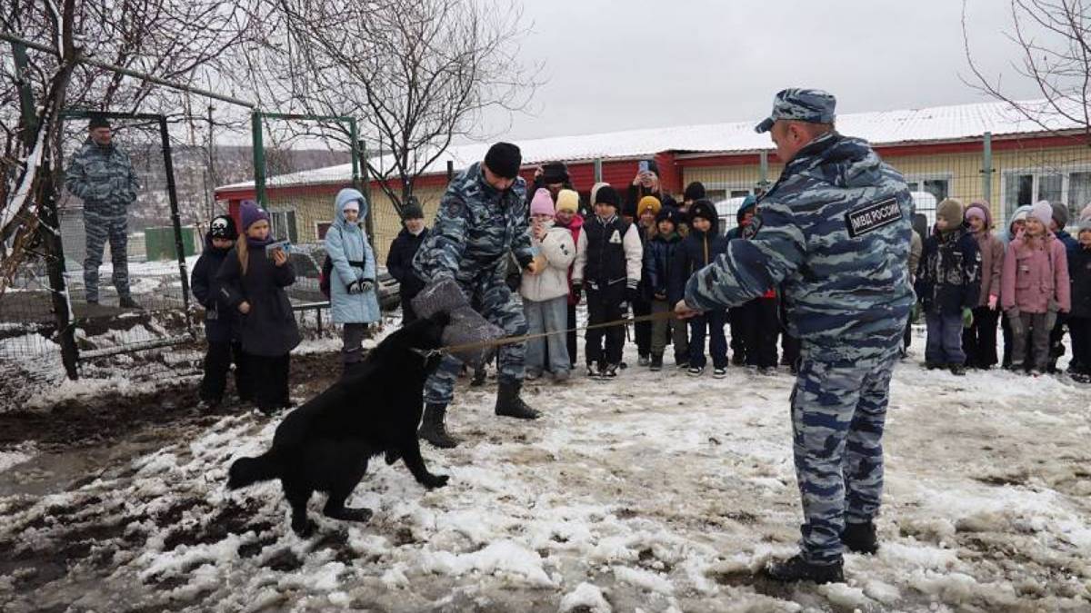 В Магадане дети познакомились с верными помощниками стражей правопорядка - служебными собаками