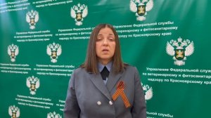 АП Беспалова Как выбирать саженцы