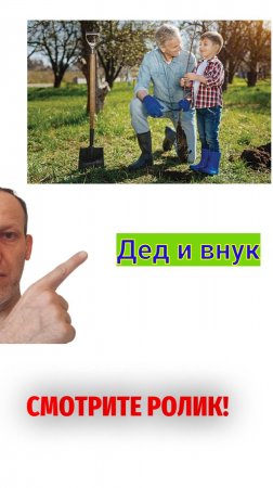 Мудрость притчи "О сорняках". Как внук сам понял что к чему.
