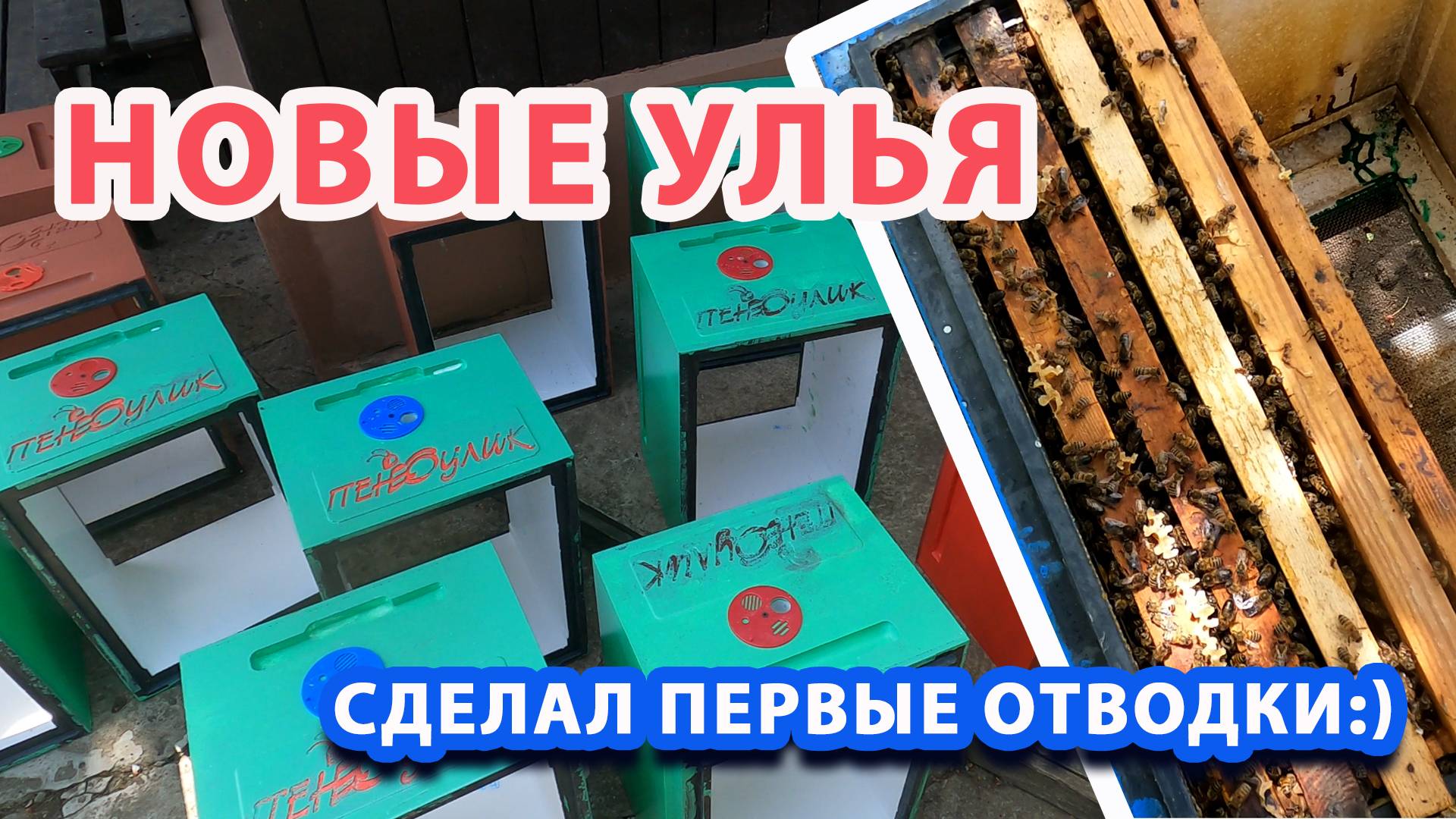 НОВЫЕ УЛЬЯ!!!