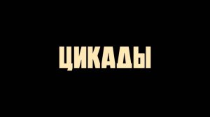 Сериал цикады онлайн все серии