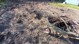 Подготовка под газон участка со стадии леса