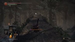 Stahlwing играет в Dark Souls III - часть 15