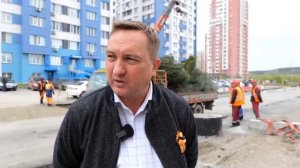 Ели и туи с улицы Мичурина пересадят