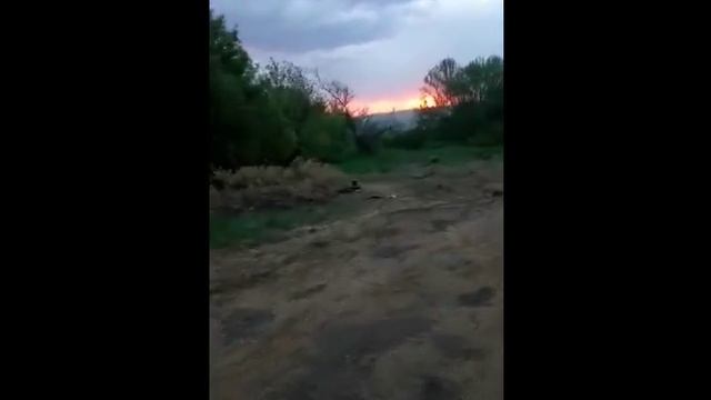 Шабанов Темирлан