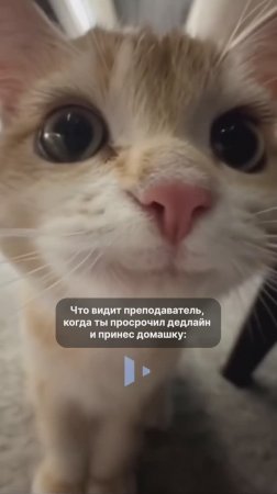 Узнал себя? 👀