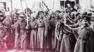 От баскетбола до плодовых деревьев: истории, где наука встречается с судьбой