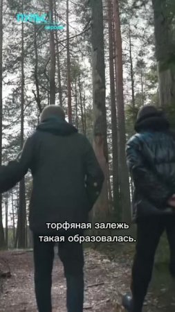 О чём молчат болота?