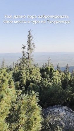 Пока другие строят планы, ты можешь забронировать незабываемое путешествие уже сейчас!